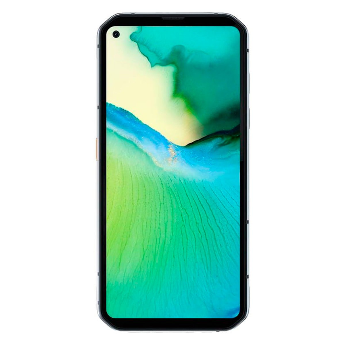 Blackview BL6000 Pro Resistente al frio -30 ℃, agua y polvo IP69k 256GB ...